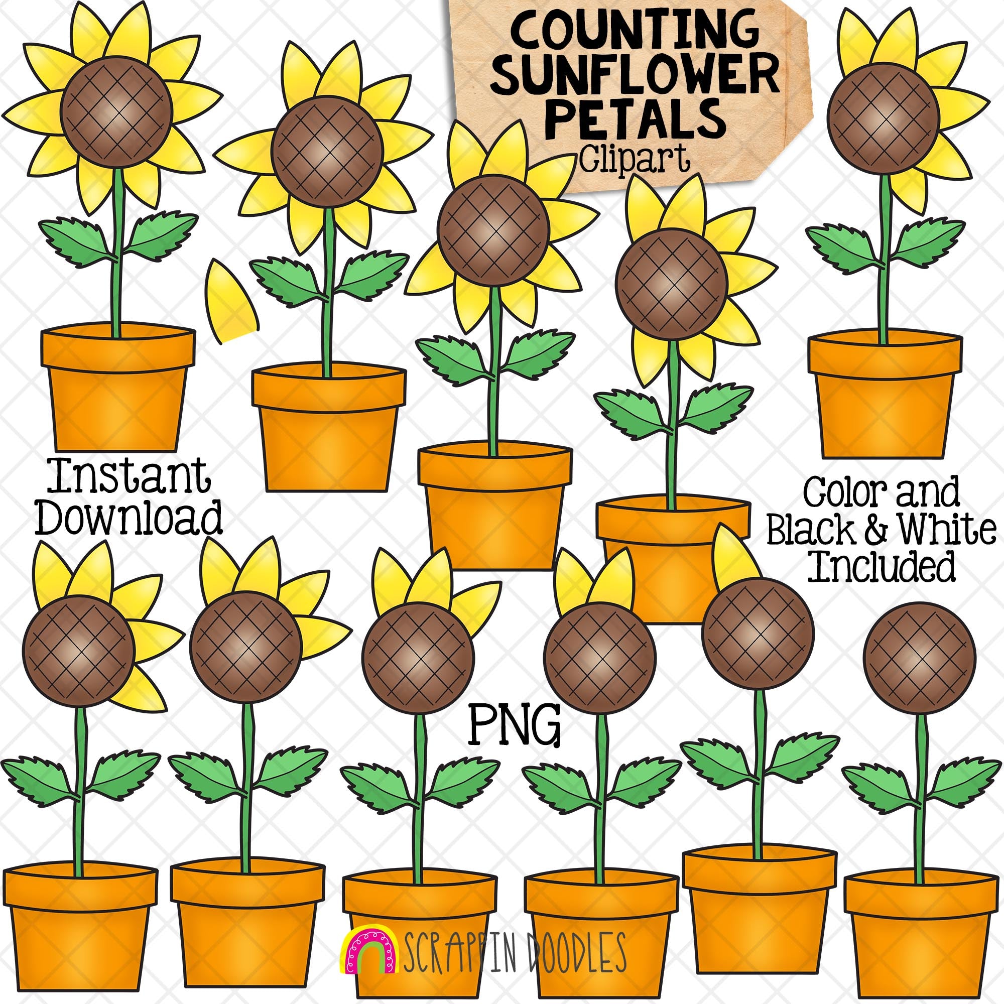 Counting Sunflowers ClipArt - Autumn Sunflower Petal Counting - Season ...