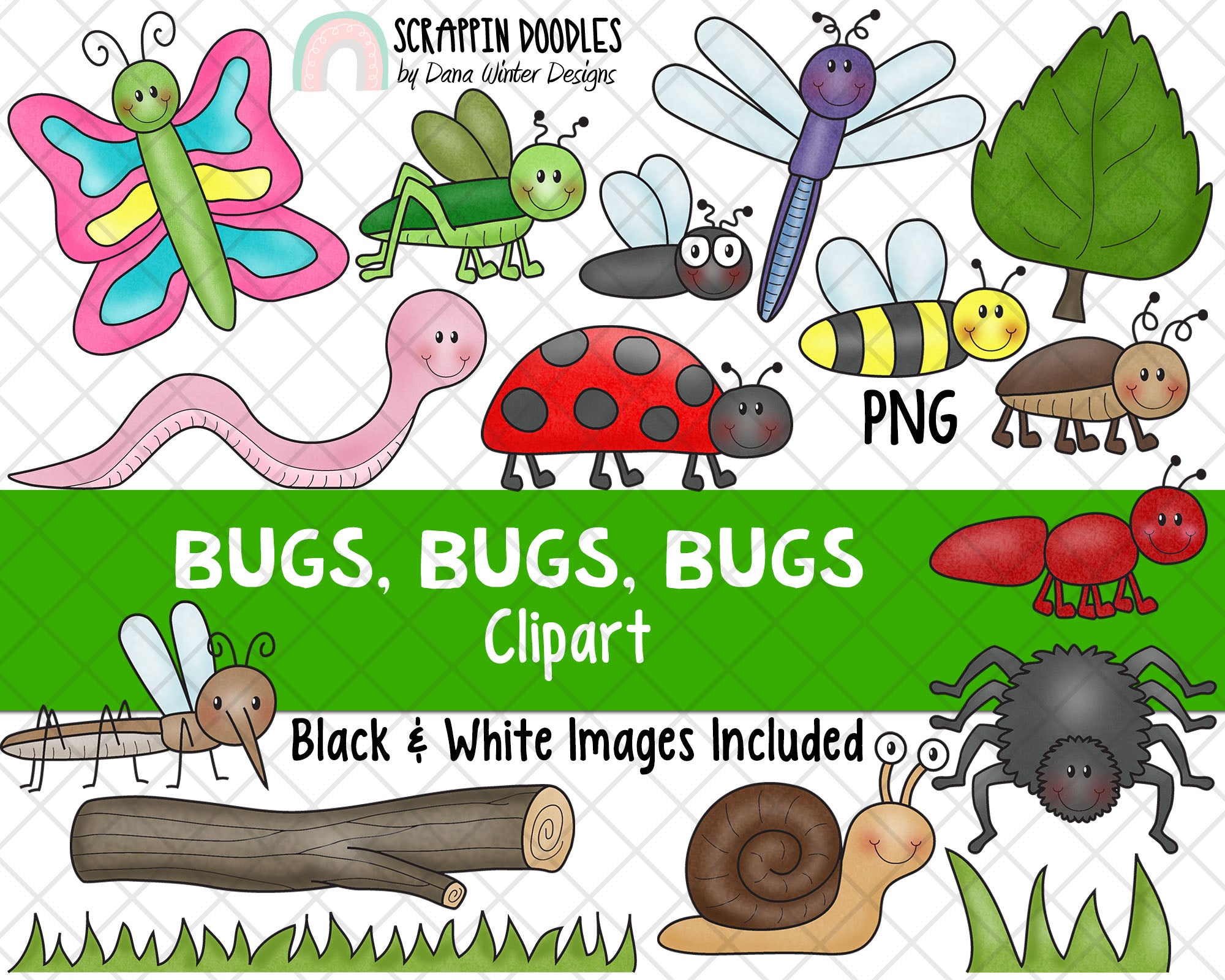 Bug Clipart Insect