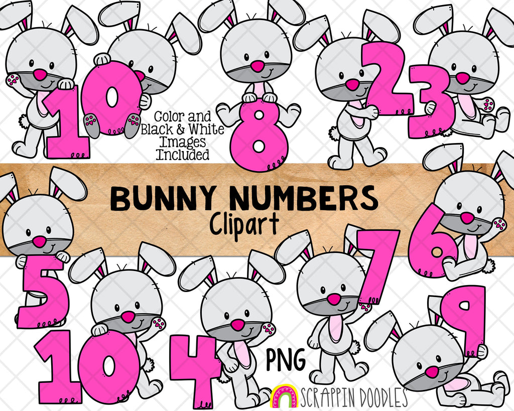 Bunny Holding Numbers Clip Art - Commercial Use PNG – Scrappin Doodles