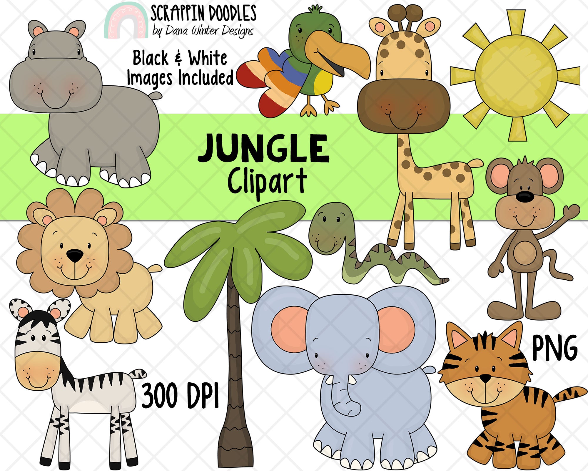Rainforest Animals Clipart