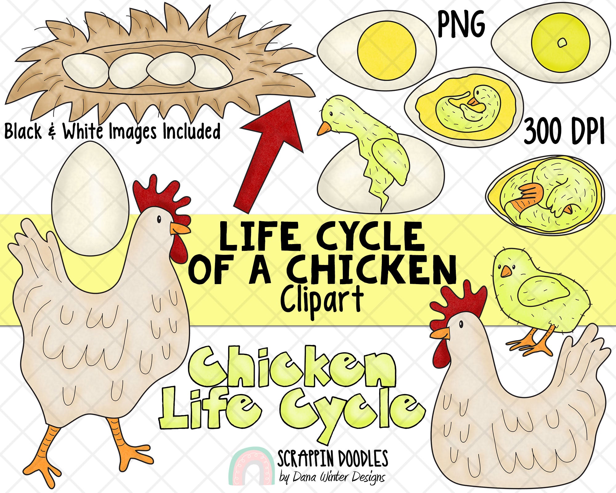 Hatching Eggs Clipart Black