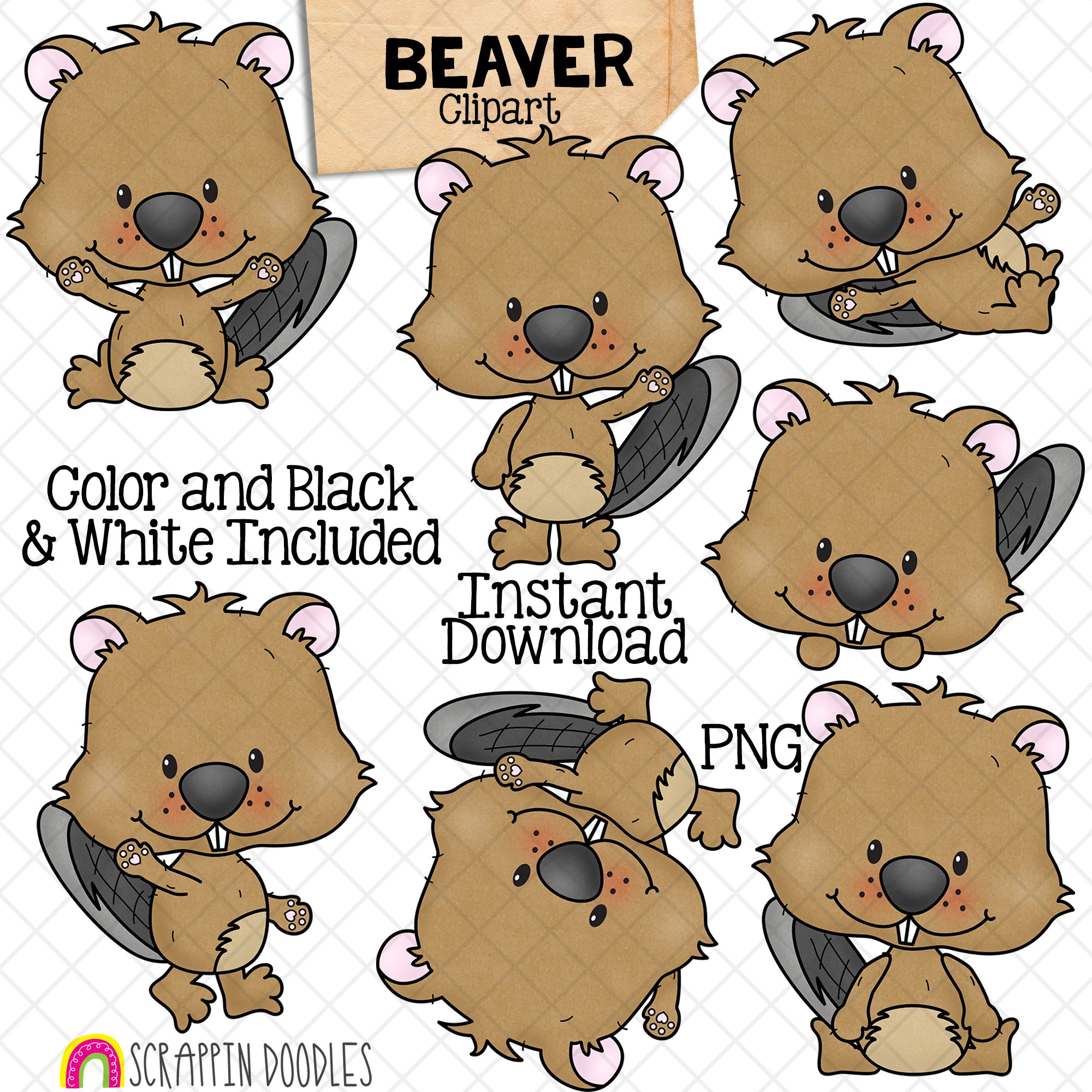 Beaver ClipArt - Beavers Posing - Different Poses - Peeking - Laying ...