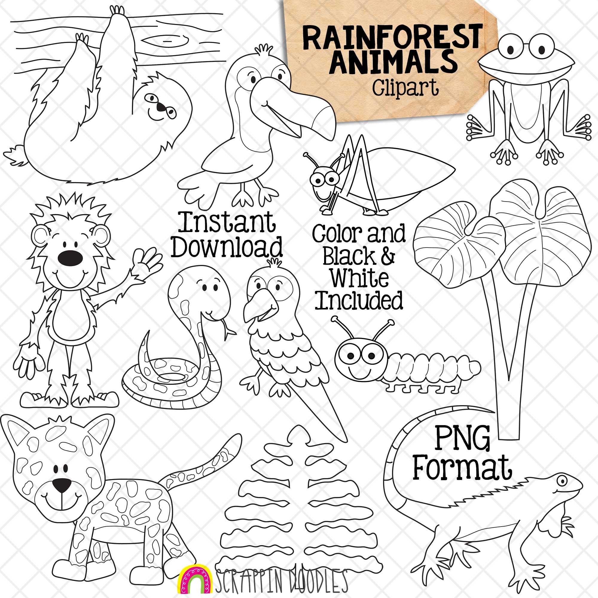 Rainforest Animal ClipArt - Sloth - Jaguar - Toucan - Tree Frog - Igua ...