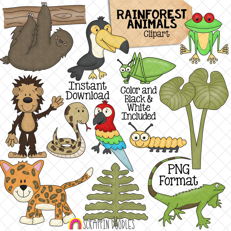 Rainforest Animal ClipArt - Sloth - Jaguar - Toucan - Tree Frog - Igua ...