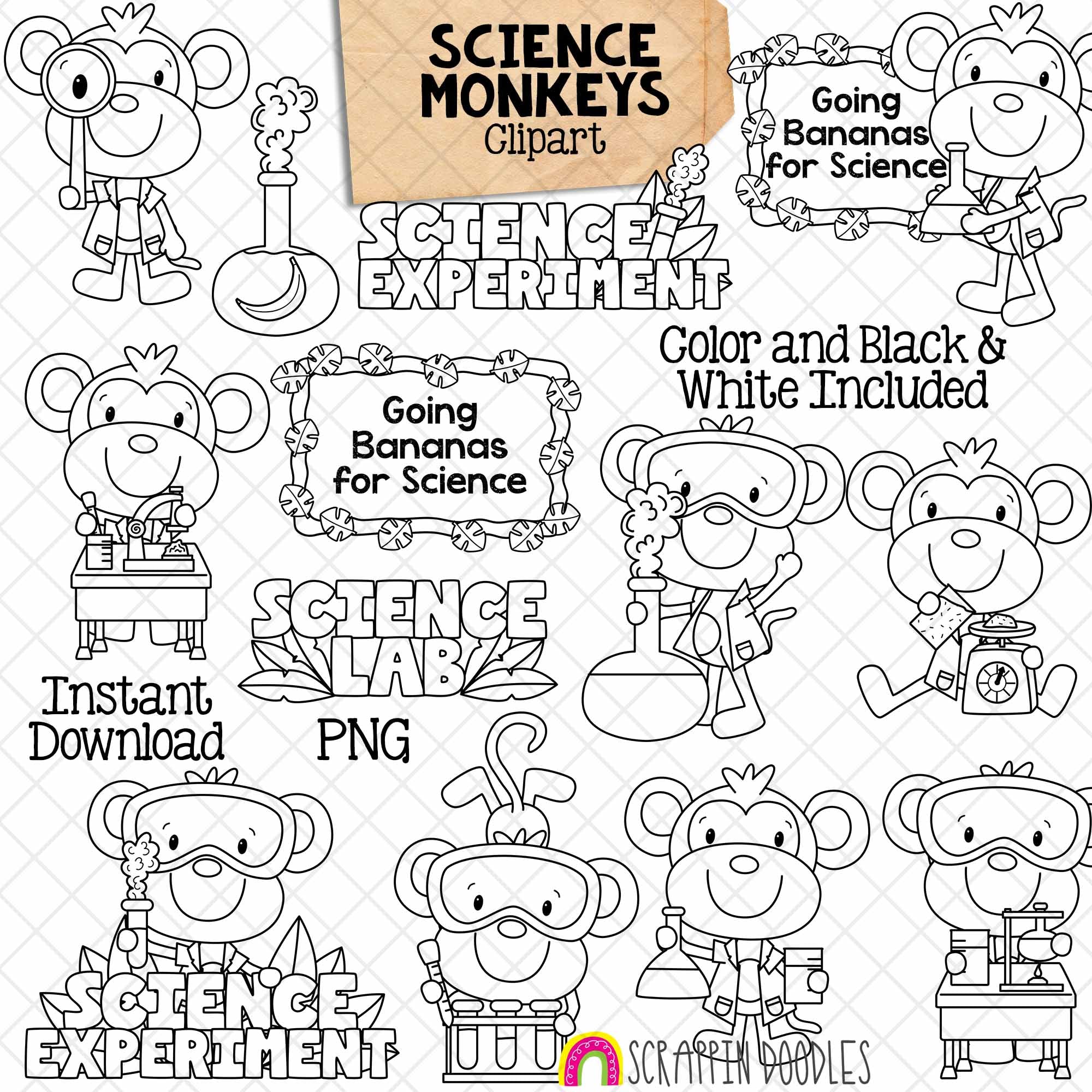 School Monkey ClipArt Bundle - Reading - Writing - Math - Science ...