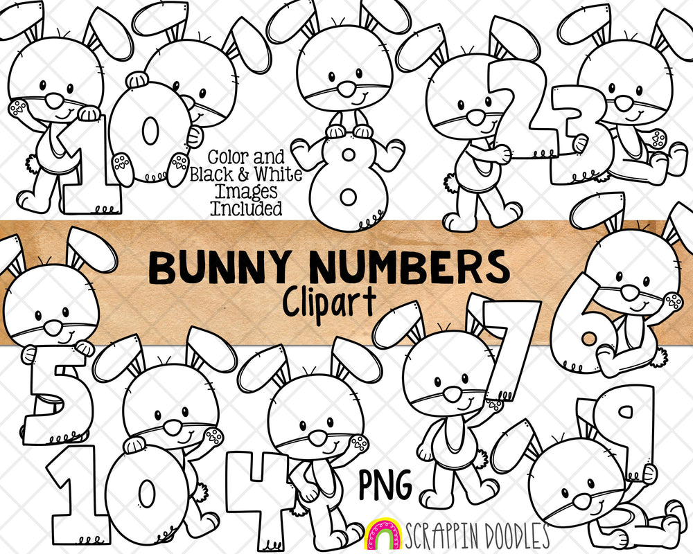 Bunny Holding Numbers Clip Art - Commercial Use PNG – Scrappin Doodles