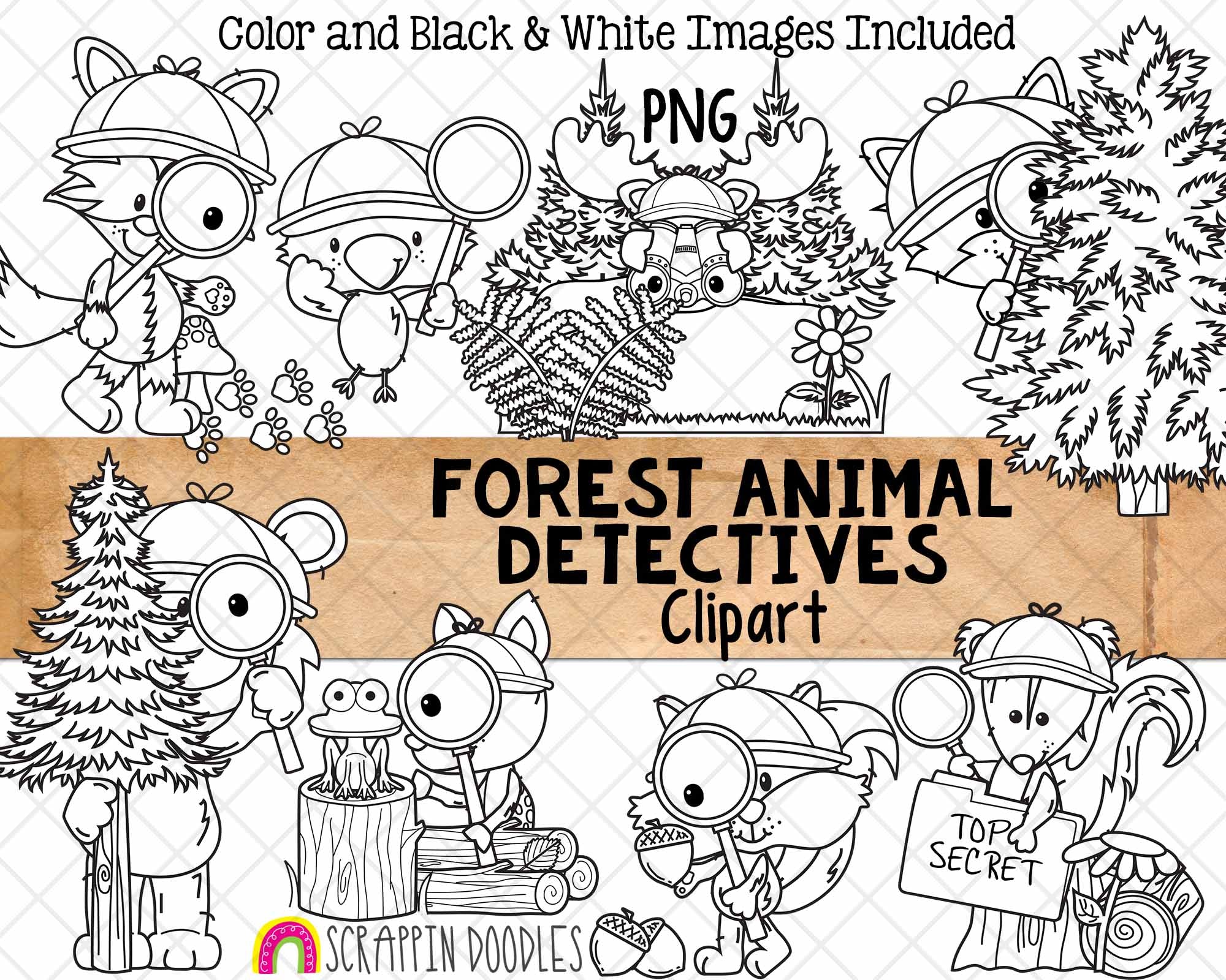 Forest Clip Art Bundle - Forest Animals - Trees - Plants - Borders - B ...