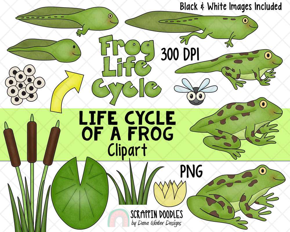 Life Cycle Clip Art - Frog Life Cycle Clip Art - Tadpole ClipArt ...