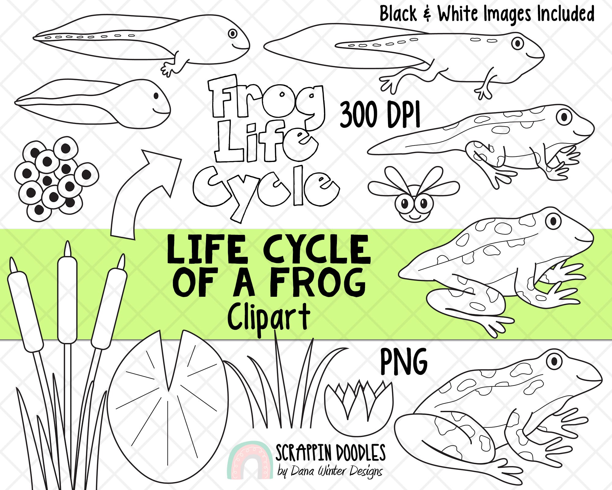 Life Cycle ClipArt Bundle – Scrappin Doodles