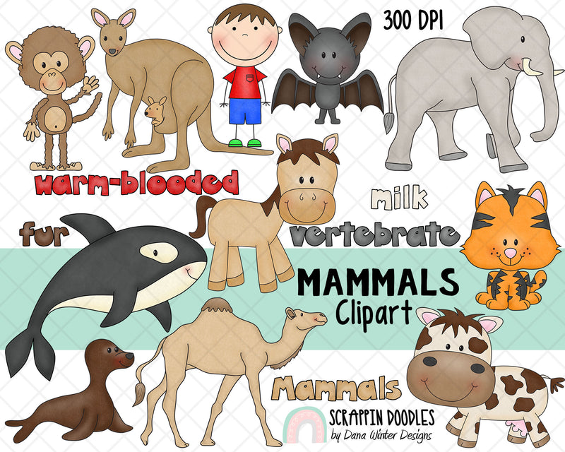 Mammals ClipArt - Cute Animal Clipart - Mammal Clip Art - Instant Down ...